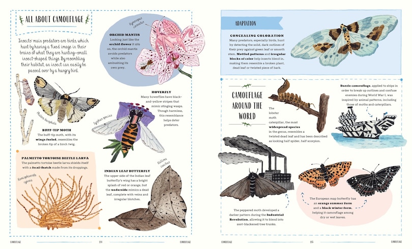 Buzz: A Family Guide To Bugs And Bees And How To Spot Them Book By ...