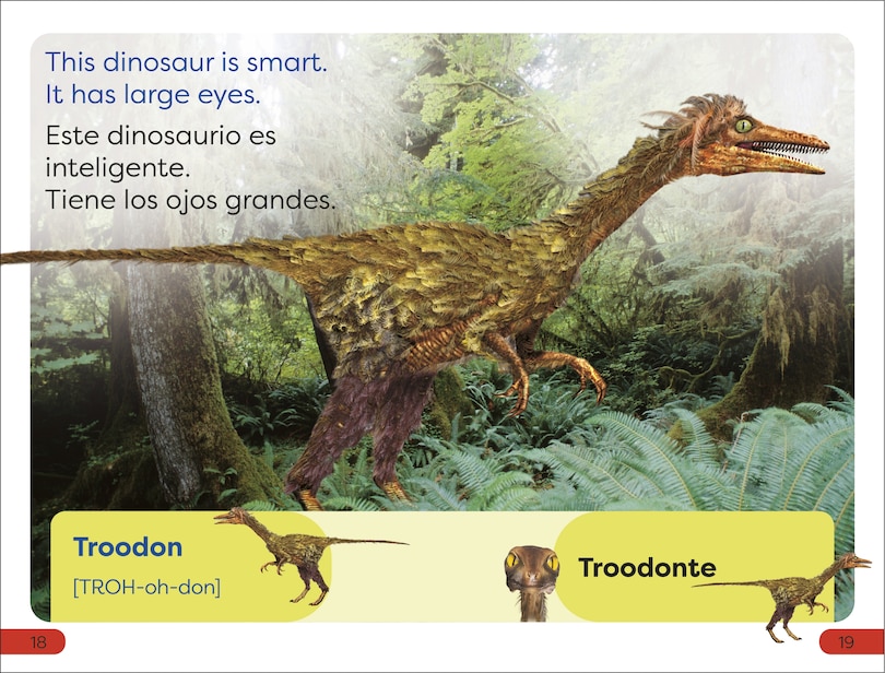 Dk Super Readers Pre-level English-spanish Bilingual Meet The Dinosaurs ...