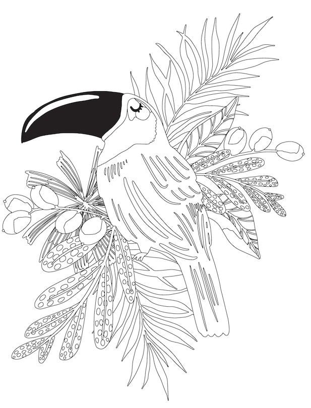 Jungle Dreams: Colour & Scratch Book Livre Par Five Mile, ('tp') | Indigo