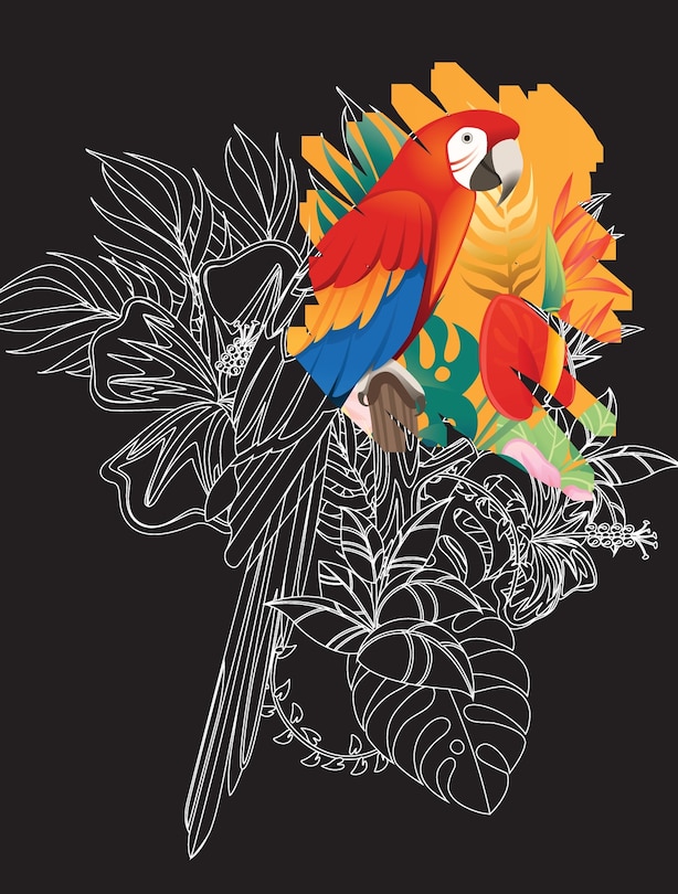 Jungle Dreams: Colour & Scratch Book Livre Par Five Mile, ('tp') | Indigo