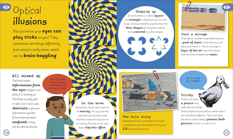 My Very Important Human Body Encyclopedia: For Little Learners Who Want ...