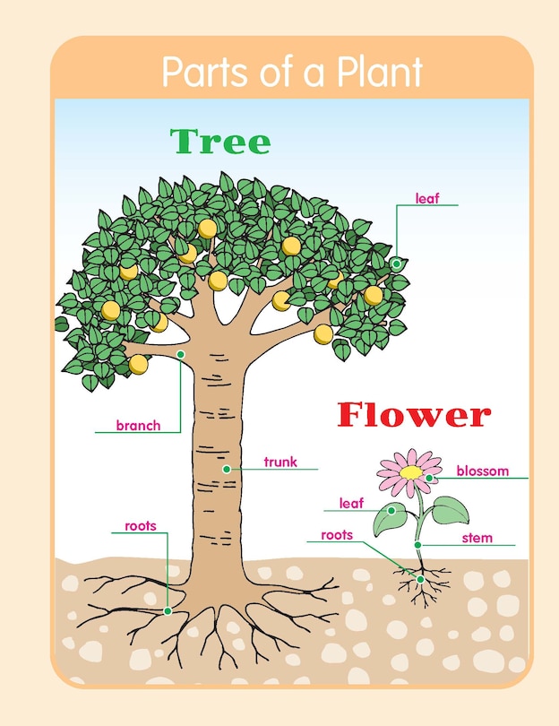 Take It To Your Seat Science Centers Prek-k Book By Evan-moor ...