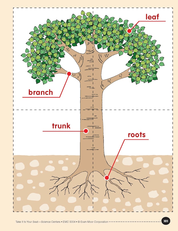 Take It To Your Seat Science Centers Prek-k Book By Evan-moor ...