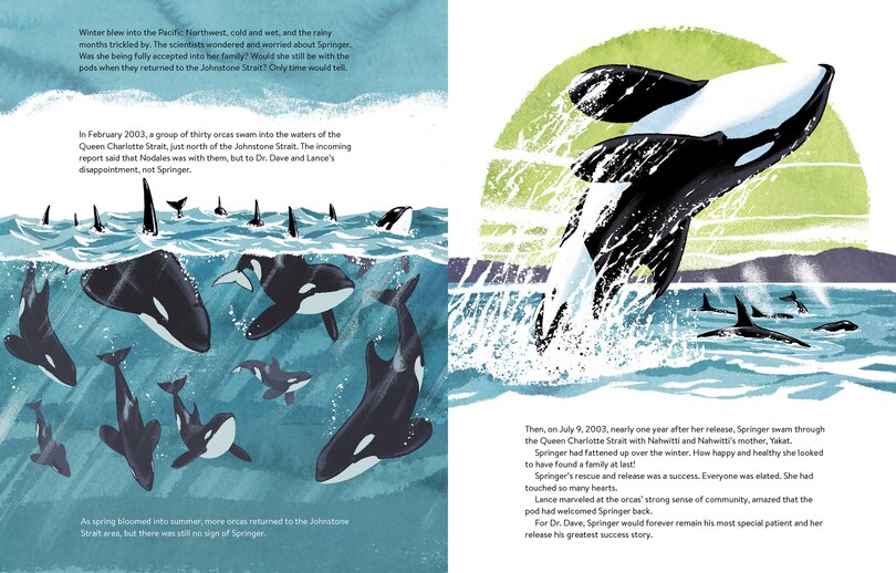 The Spirit Of Springer: The Real-life Rescue Of An Orphaned Orca (whale ...