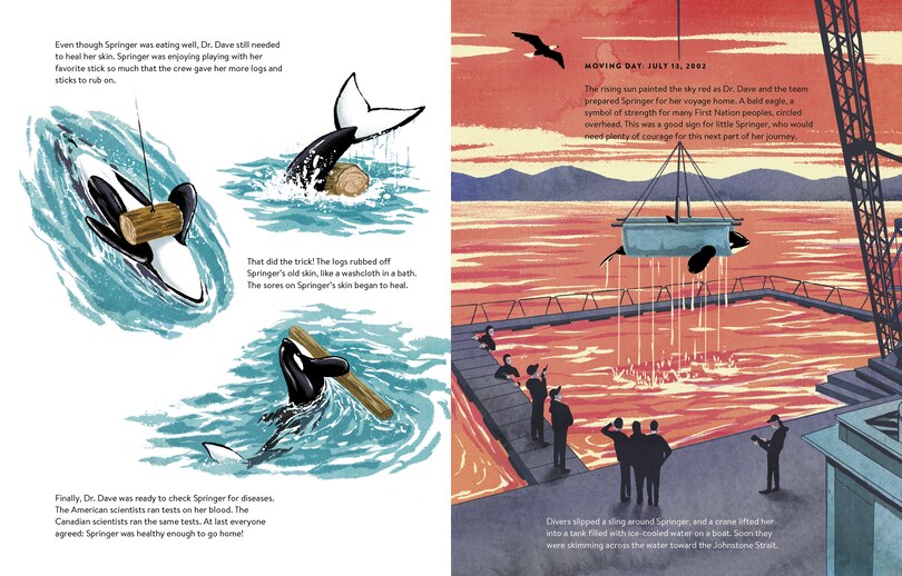The Spirit Of Springer: The Real-life Rescue Of An Orphaned Orca (whale ...