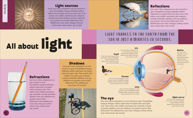 Things You Need To Know: A Kid's Encyclopedia To Explain The World Book ...