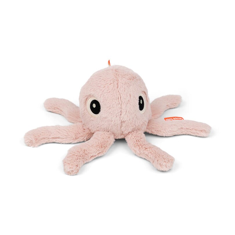 Cuddle Cute, Jelly
