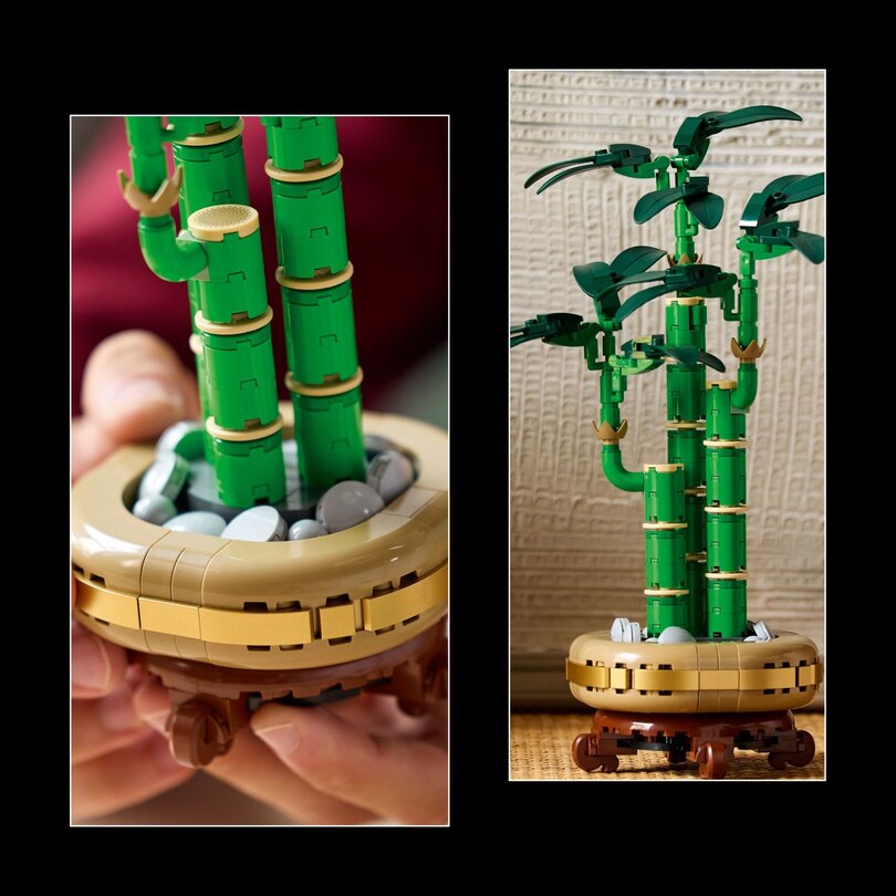 Lego® Lucky Bamboo 10344 ('') | Indigo