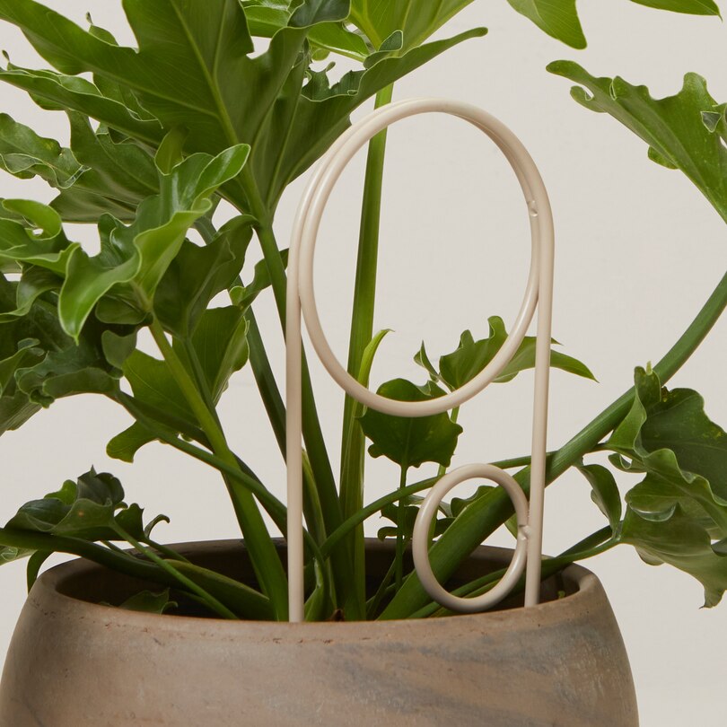 SET OF 3 PLANT TRELLISES ASSORTED COLOURS