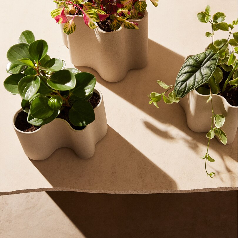 Irregular Shaped Planter - Small